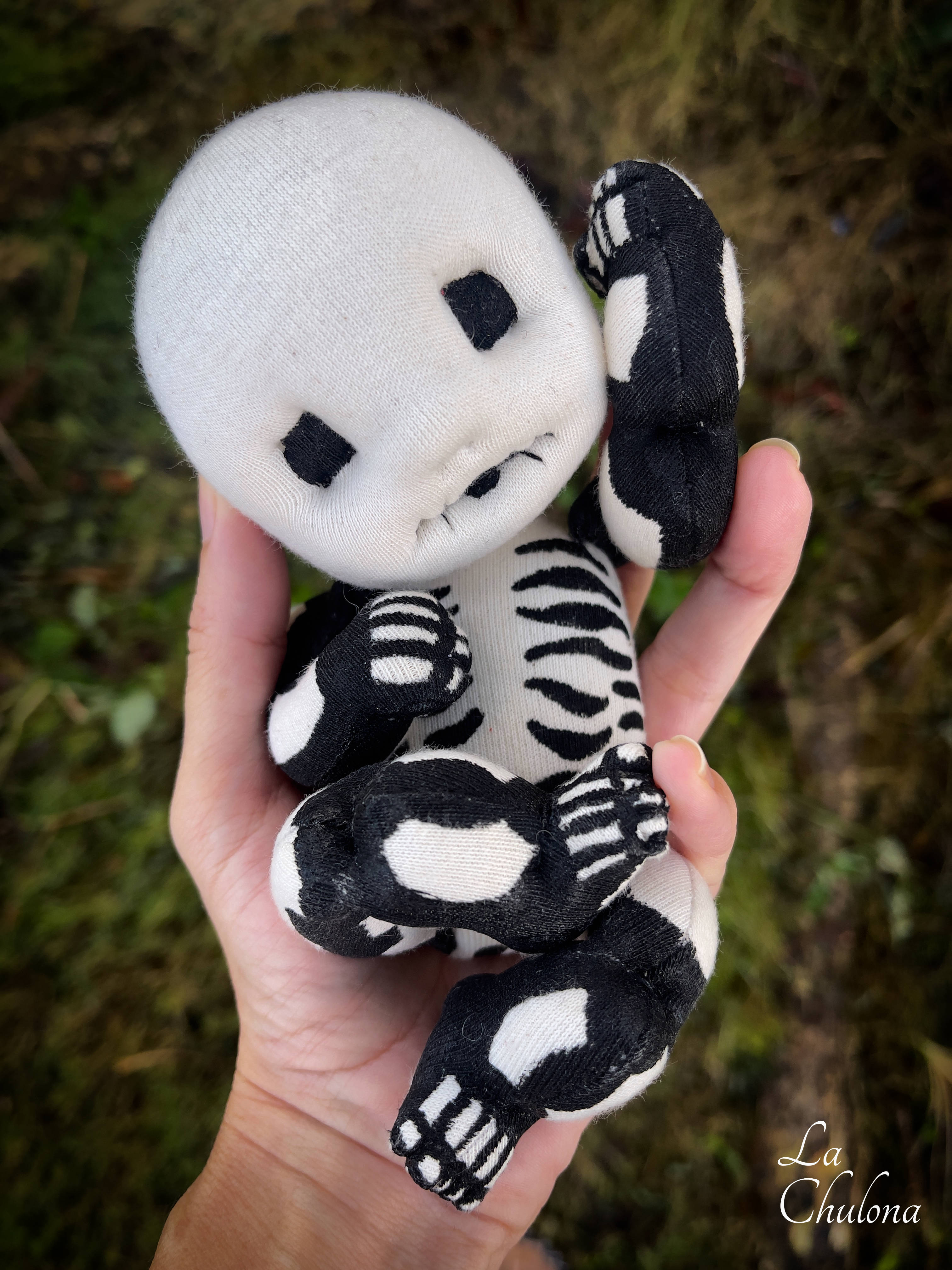 Jacque’s Album – La Chulona